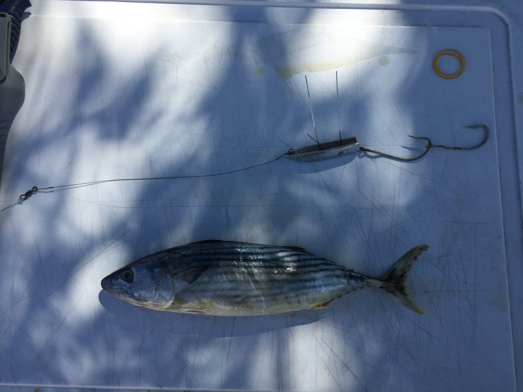 DEAD BAIT TROLLING KEEL - Leadertec